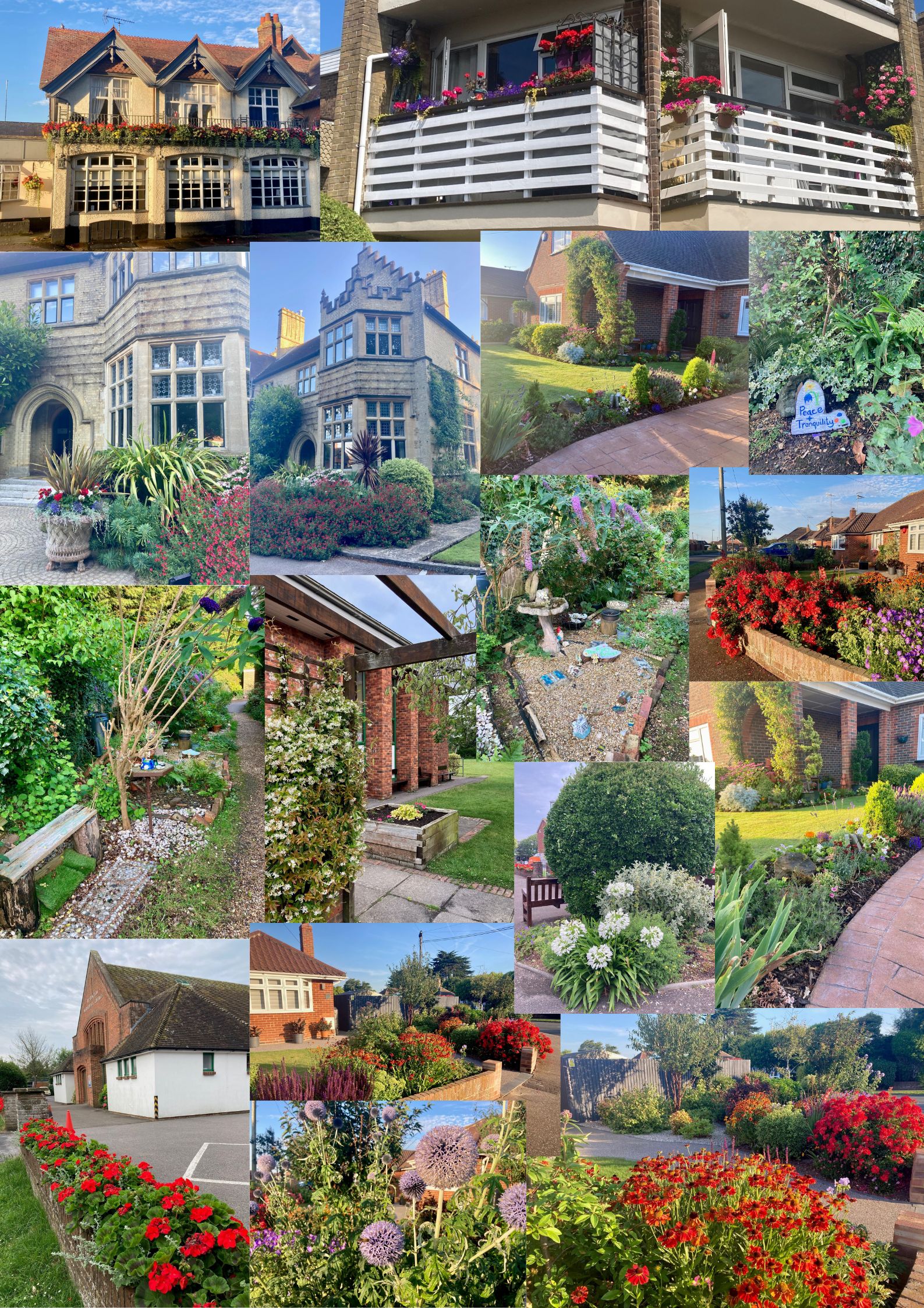 Rustington - News and Events